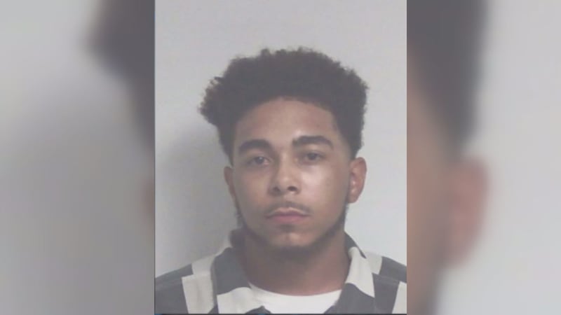 Man Pleads Guilty To 2019 Triple Homicide Case